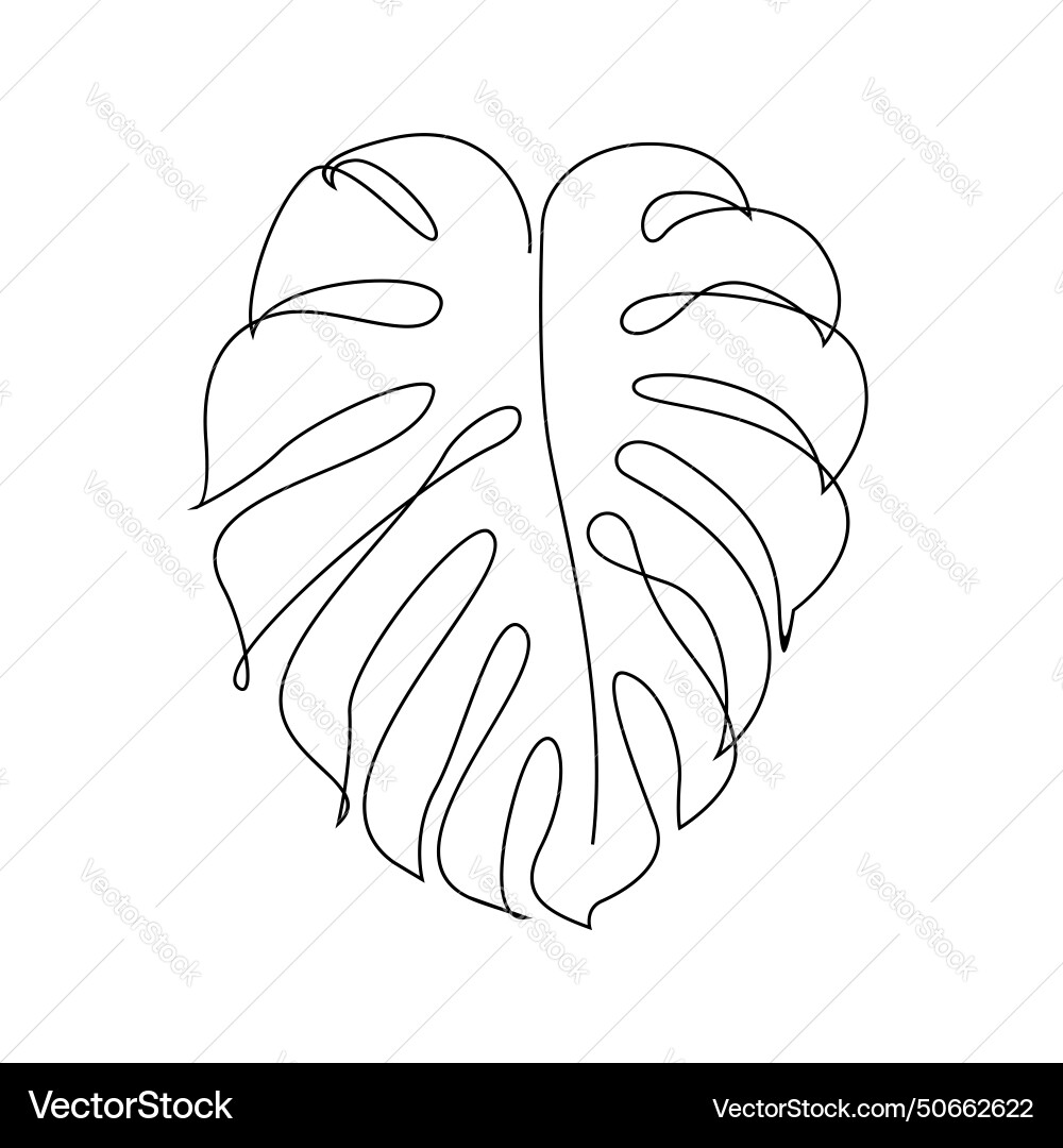 Monstera continuous line Royalty Free Vector Image