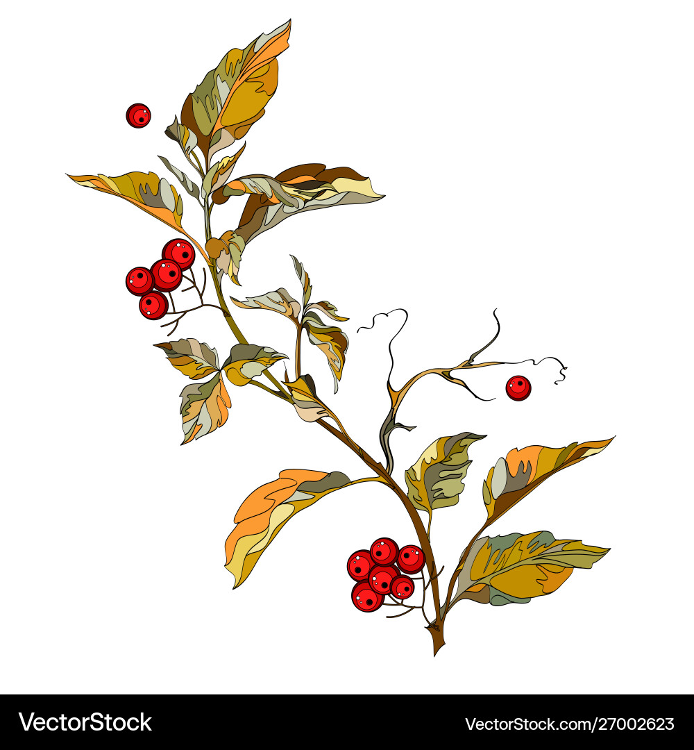 Decorative branch Royalty Free Vector Image - VectorStock