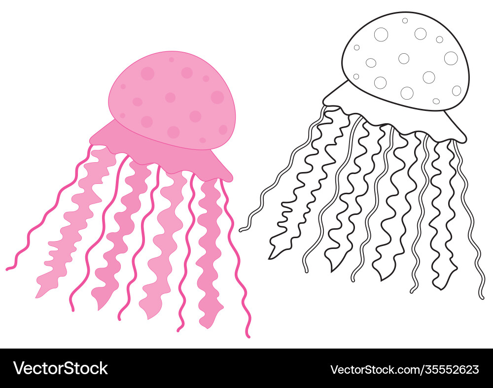 Jellyfish coloring book Royalty Free Vector Image