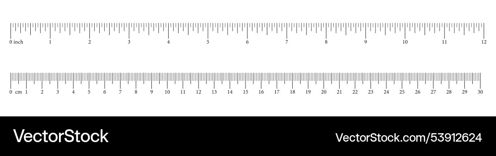 Measuring charts with 30 centimeters 12 inches Vector Image