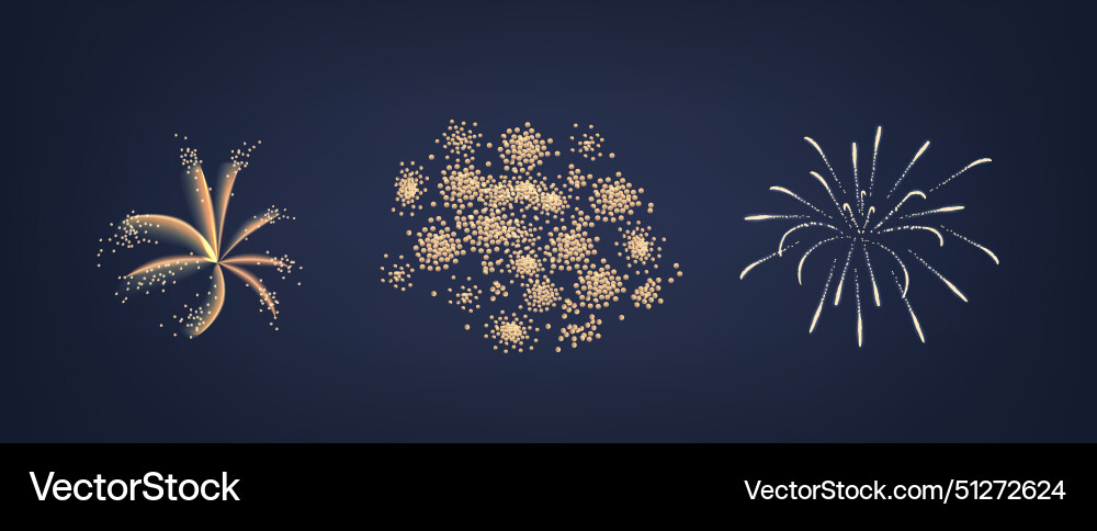 Three stunning styles of fireworks classic bloom Vector Image