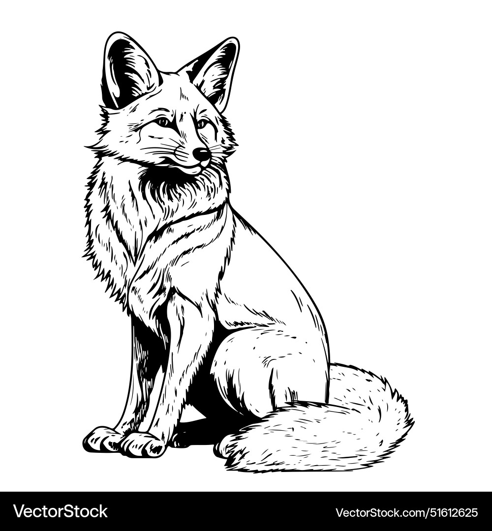Wild fox sitting hand drawn sketch in doodle style