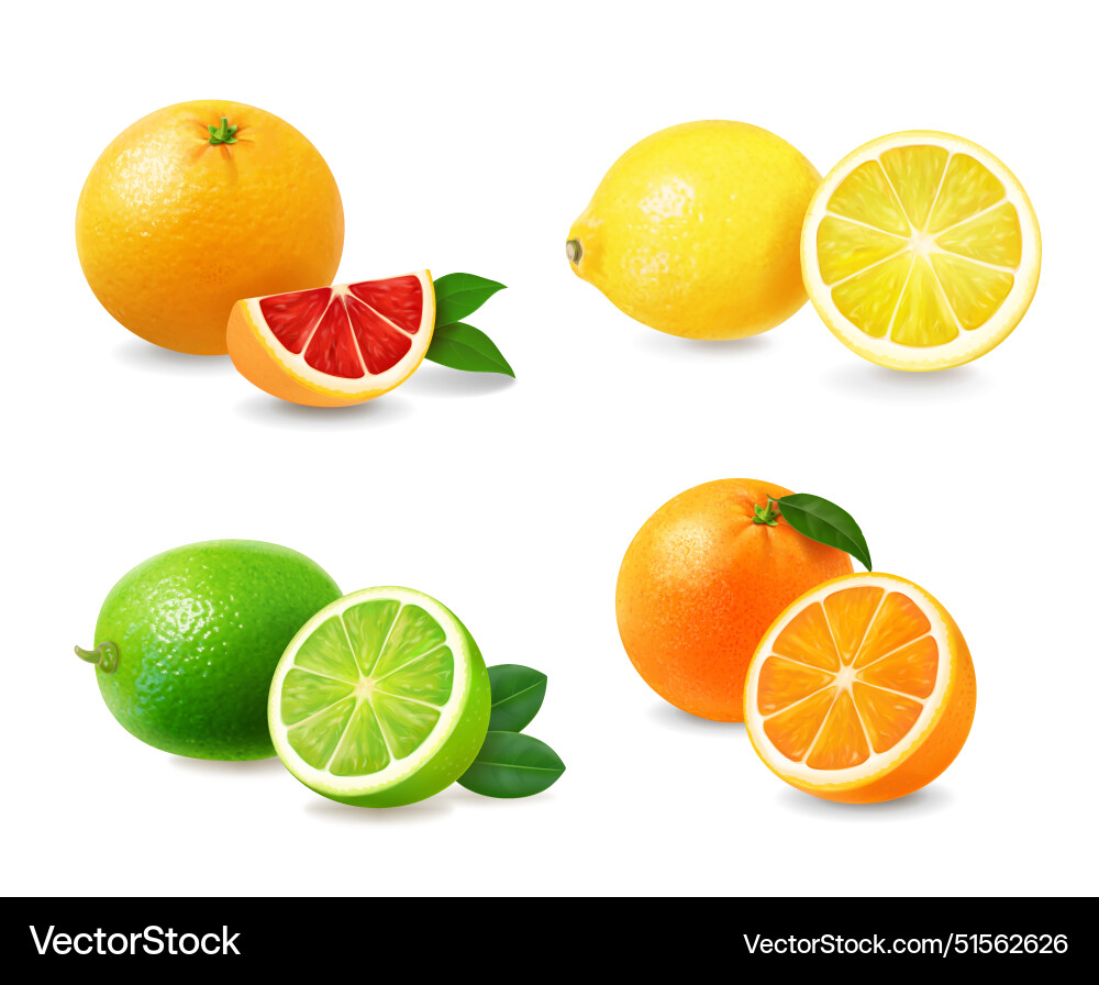 Halves Vector Images (over 4,800)