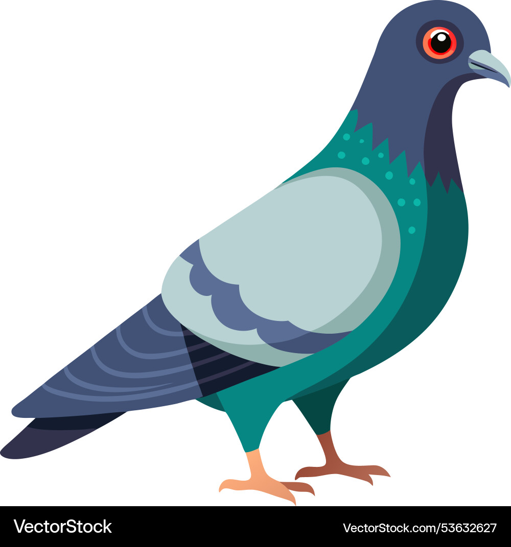 A pigeon Royalty Free Vector Image - VectorStock