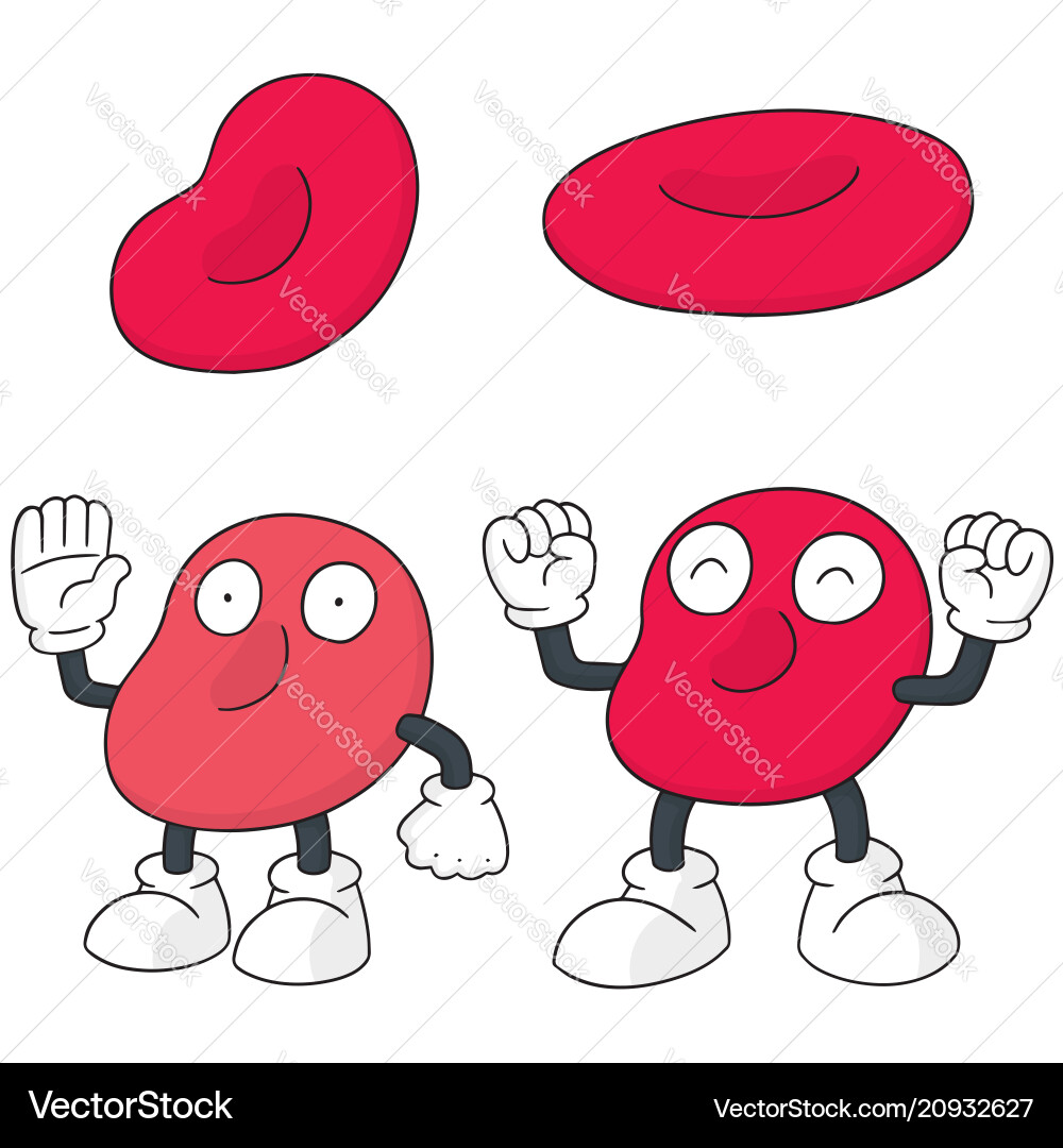 Set of red blood cell Royalty Free Vector Image