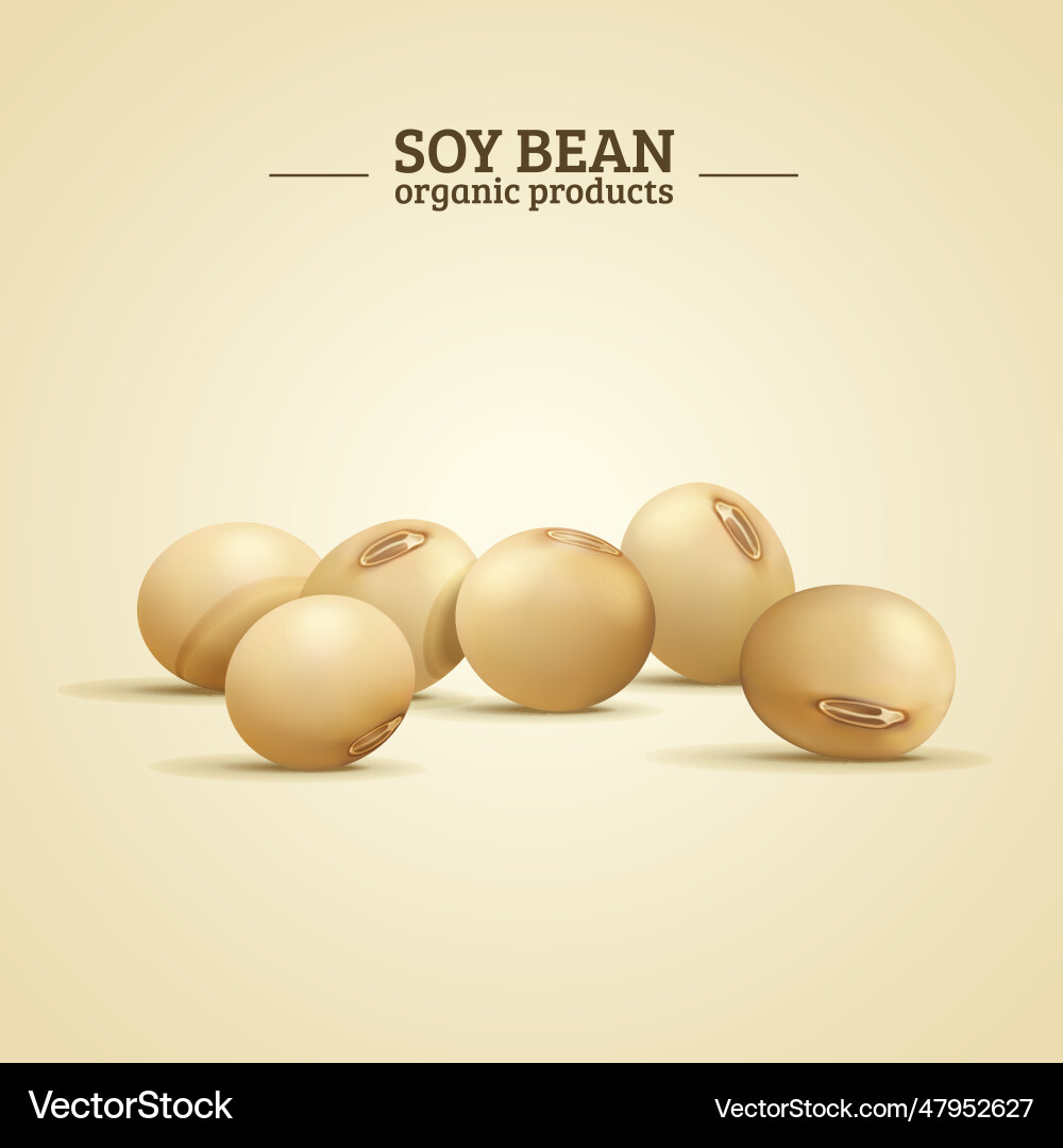 Soy bean elements Royalty Free Vector Image - VectorStock