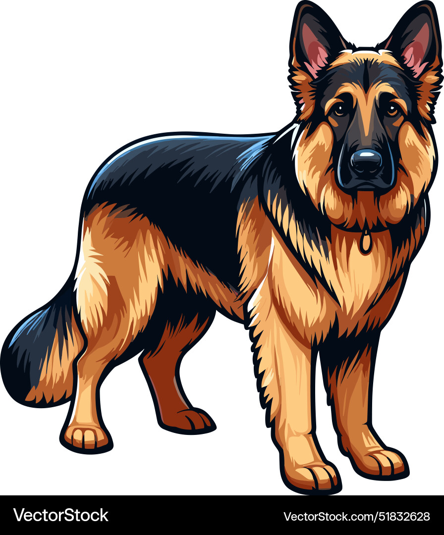 German shepherd majesty striking dog Royalty Free Vector