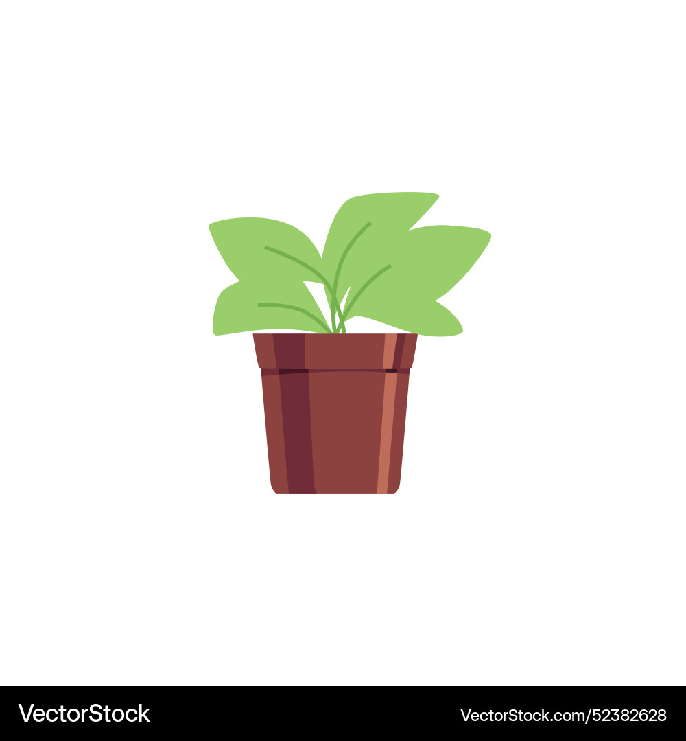 Home potted plant Royalty Free Vector Image - VectorStock