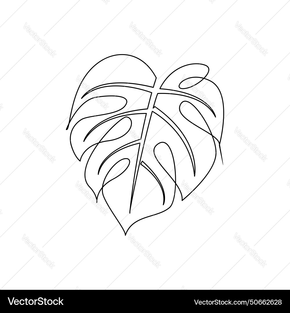 Monstera continuous line Royalty Free Vector Image