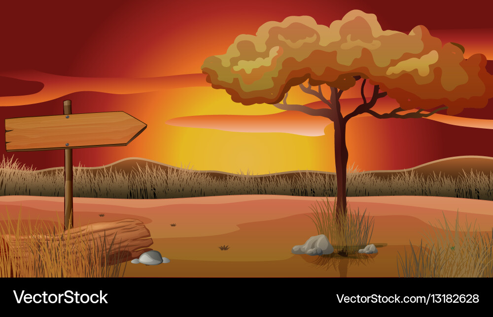 Scene of field at sunset Royalty Free Vector Image