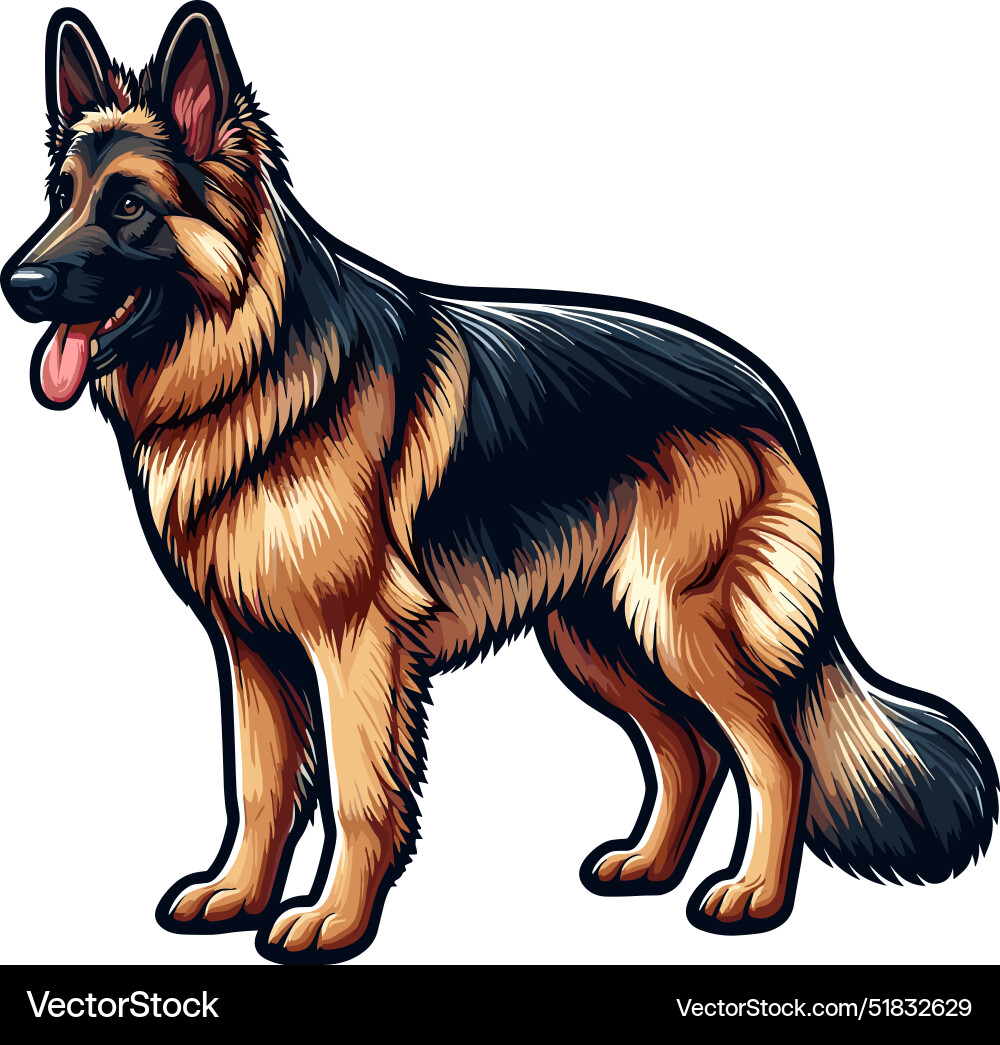 German shepherd majesty striking dog Royalty Free Vector