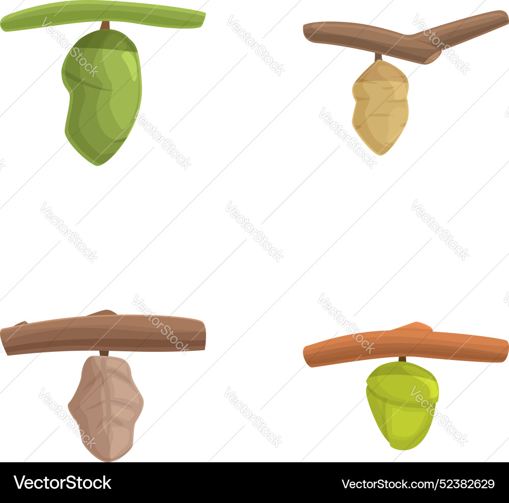 Set of cocoon transformations Royalty Free Vector Image