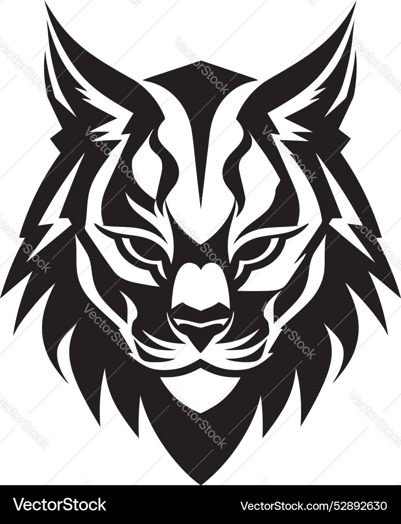 Bobcat a wild predator animal in a format bobcat Vector Image