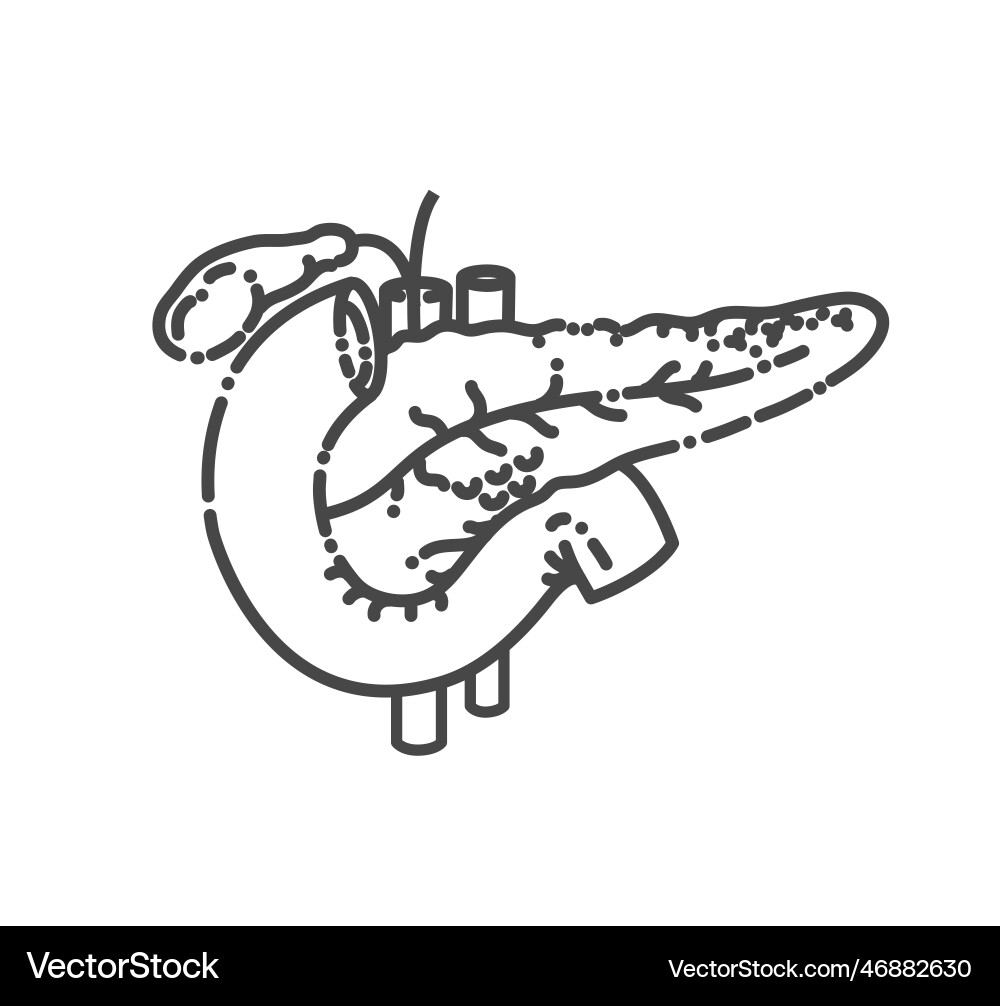 Duodenum and gallbladder Royalty Free Vector Image