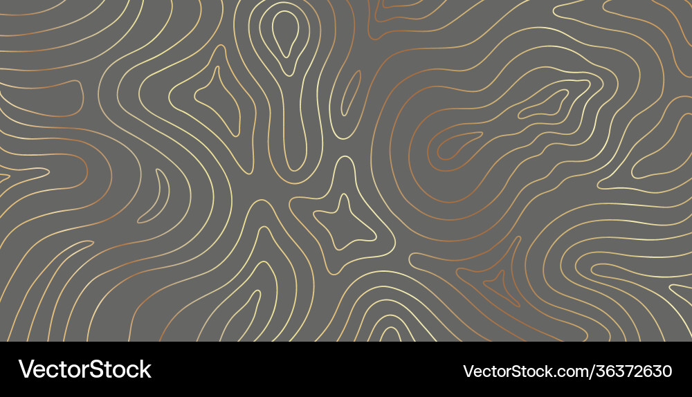 Luxury gold abstract topographic map texture Vector Image