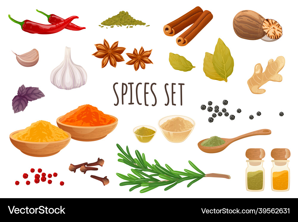 Spices icon set in realistic 3d design cooking Vector Image