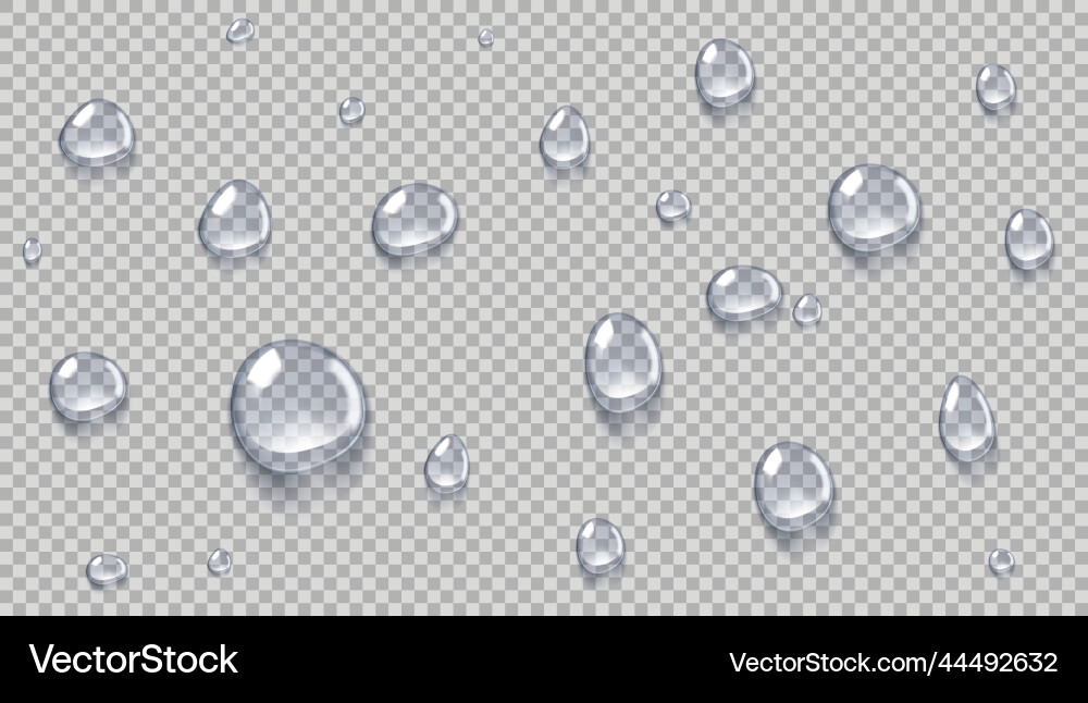 3d water drops isolated on transparent background Vector Image
