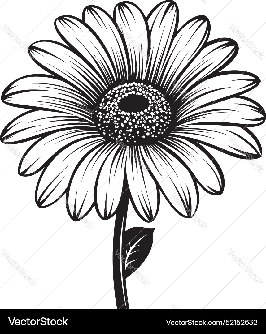 Petals perfection gerbera daisy icon in natures Vector Image