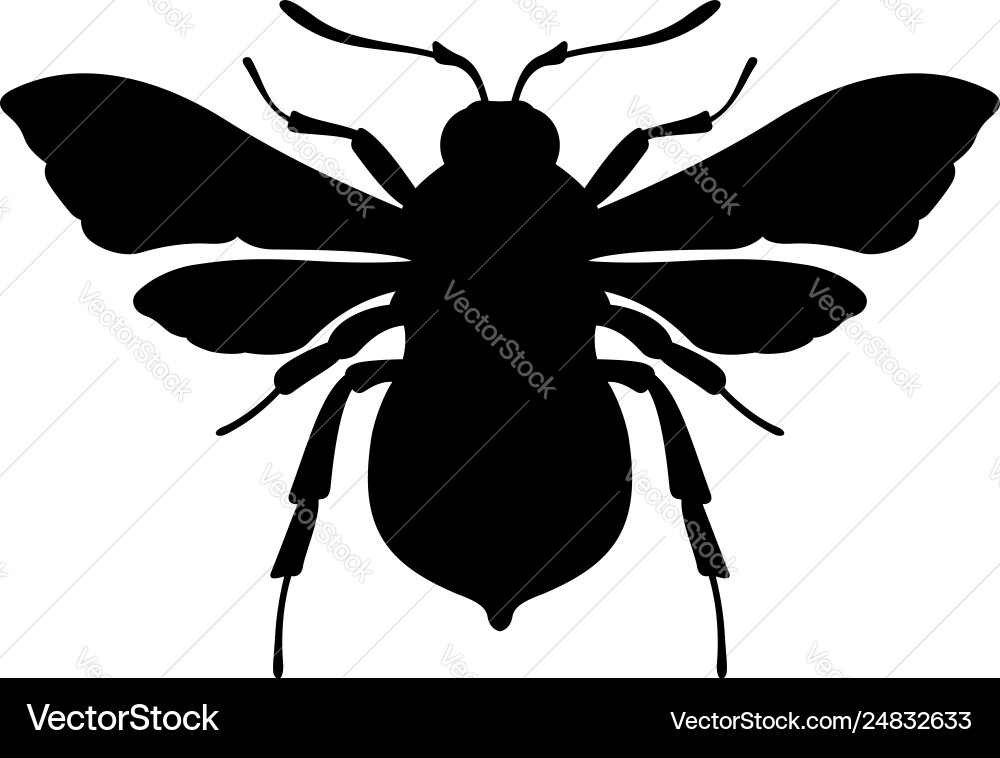 Bumblebee Royalty Free Vector Image - VectorStock