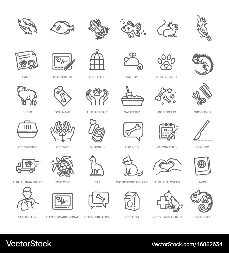 Big set outline web icon - pet vet Royalty Free Vector Image