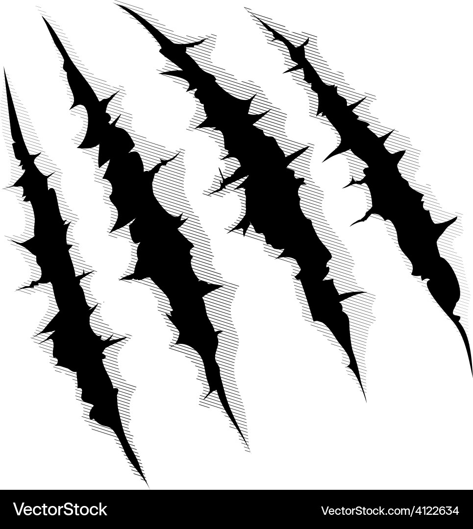 Claws scratches on white background Royalty Free Vector