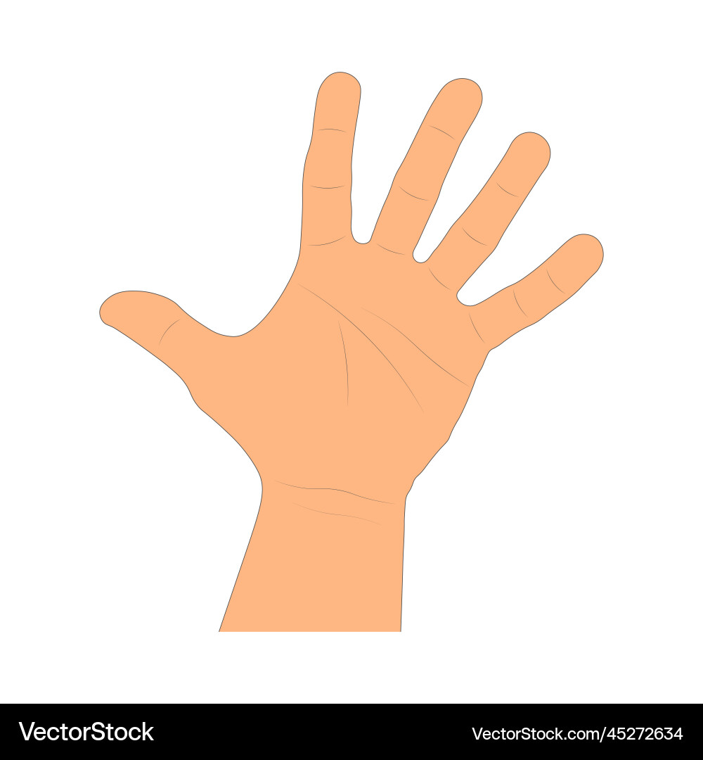 Drawing cartoon human arm isolated on white Vector Image