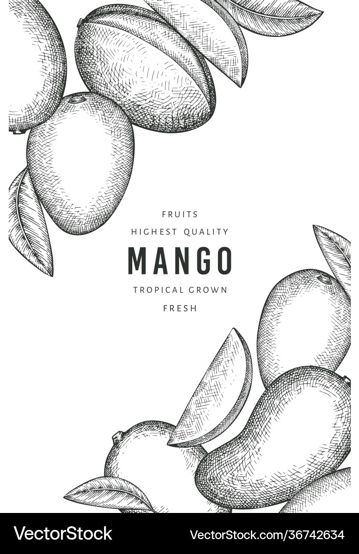 Hand drawn sketch style mango banner organic Vector Image
