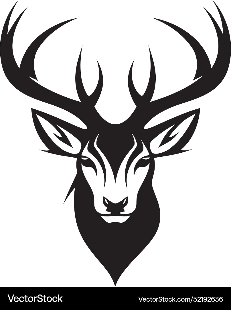 Understanding deer anatomy and physiologythe Vector Image