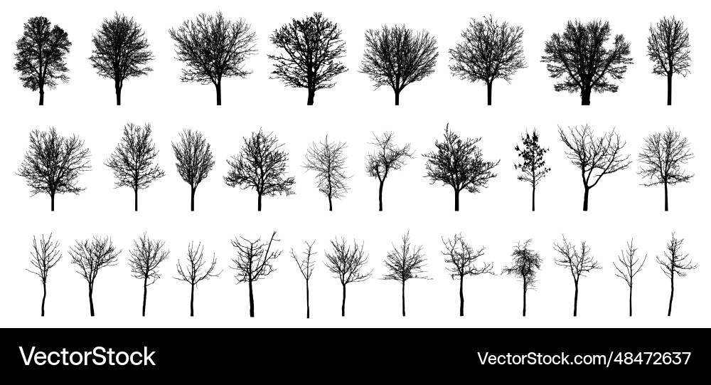 Bare deciduous trees silhouette set Royalty Free Vector