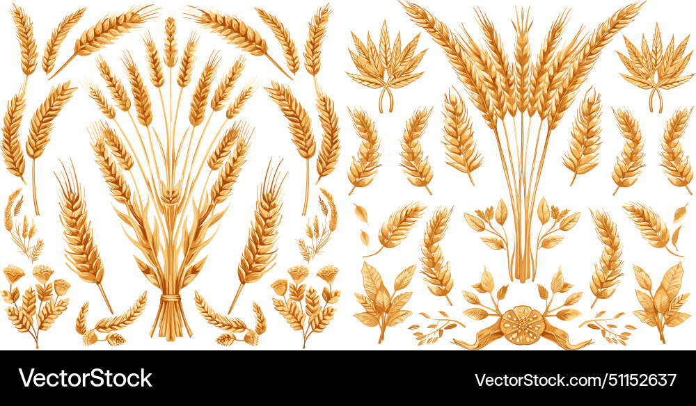 Wheat rye ears cartoon collection malt Royalty Free Vector