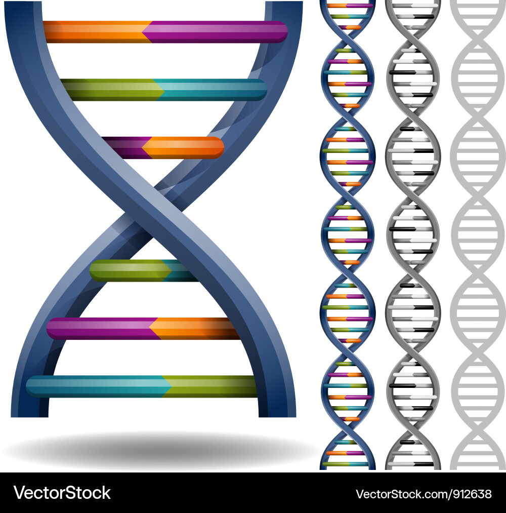 Dna Royalty Free Vector Image - VectorStock