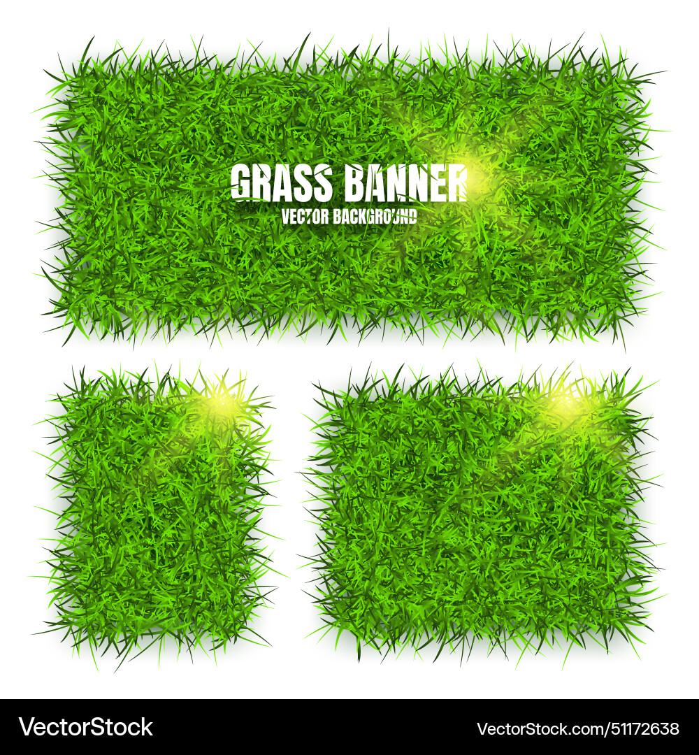 Green grass banners background field meadow Vector Image