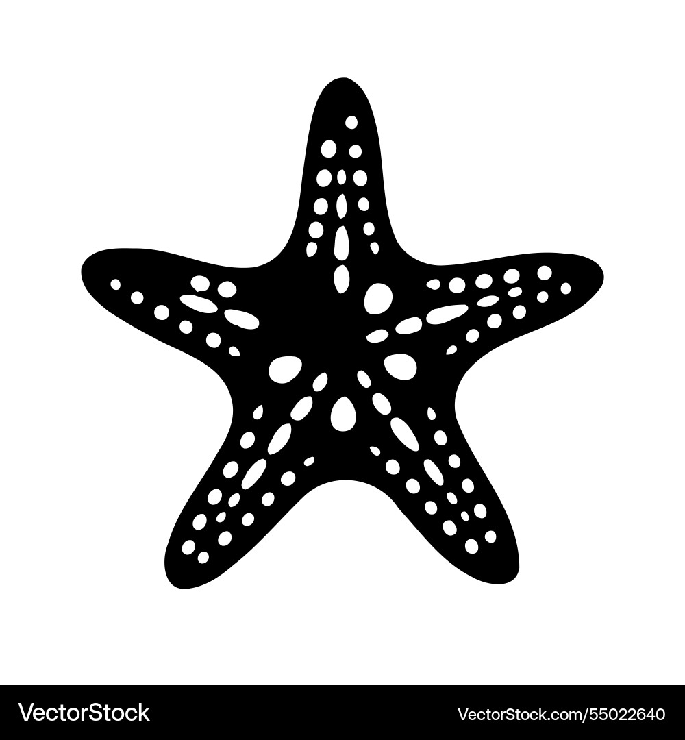 Black and white starfish simple decorative Vector Image