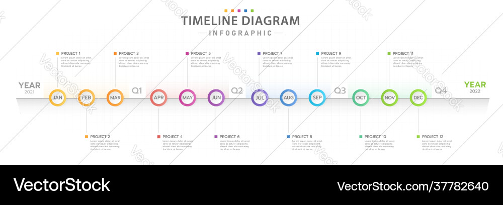Infographic 12 months modern timeline calendar Vector Image