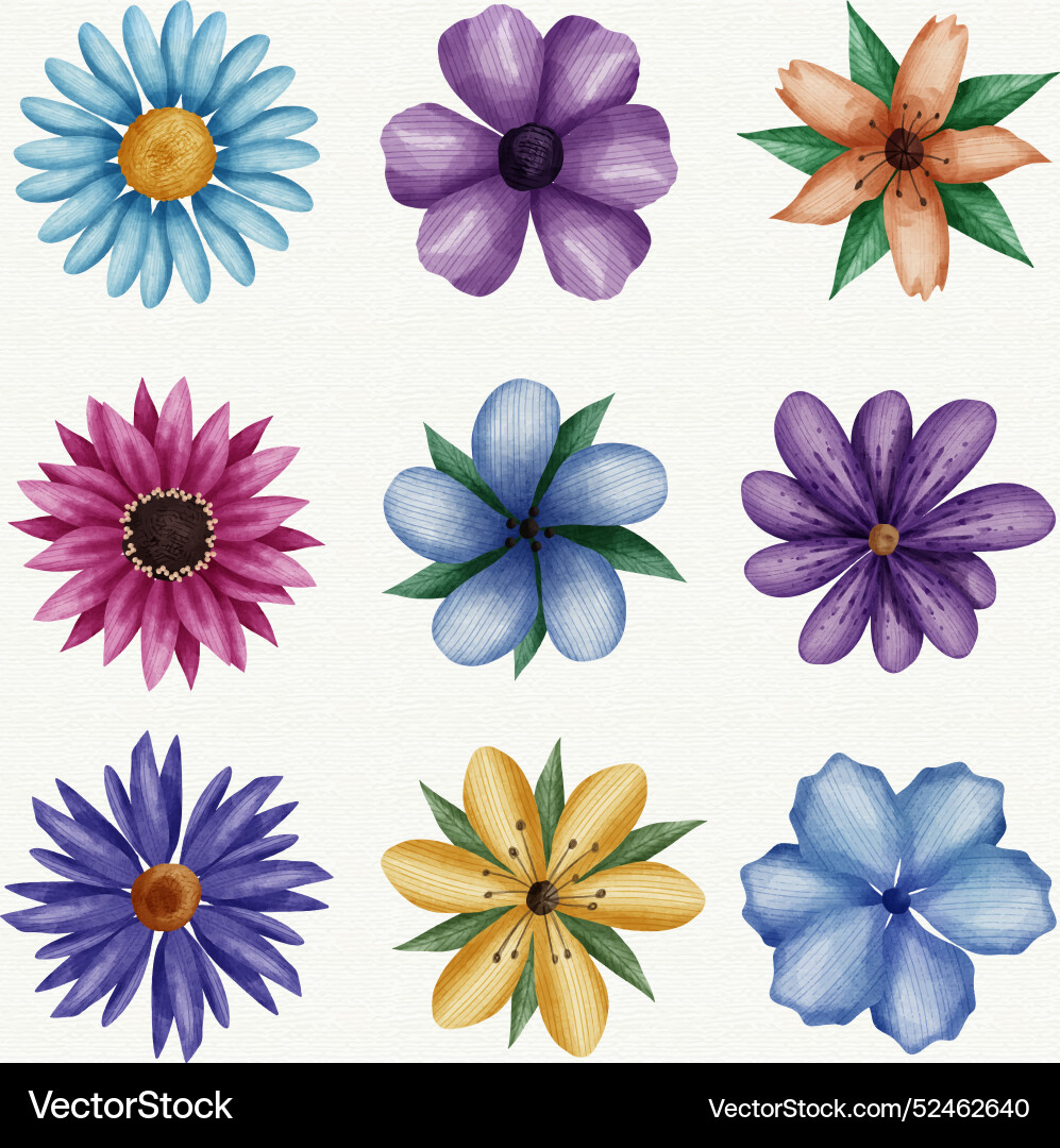 Watercolor spring flower collection Royalty Free Vector