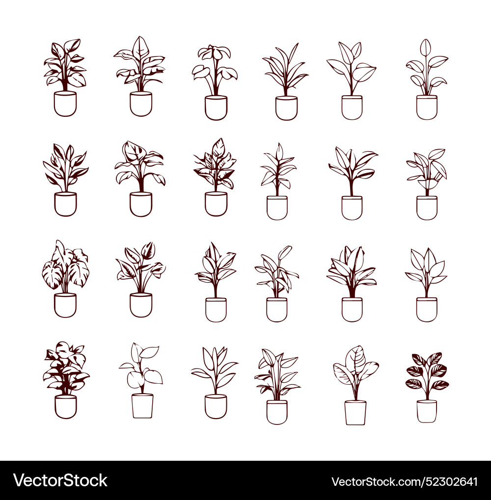 Line art drawing plant flower Royalty Free Vector Image