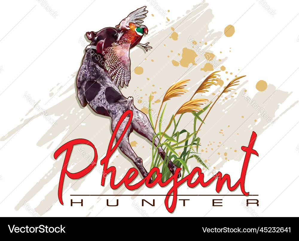 Pheasant hunter Royalty Free Vector Image - VectorStock