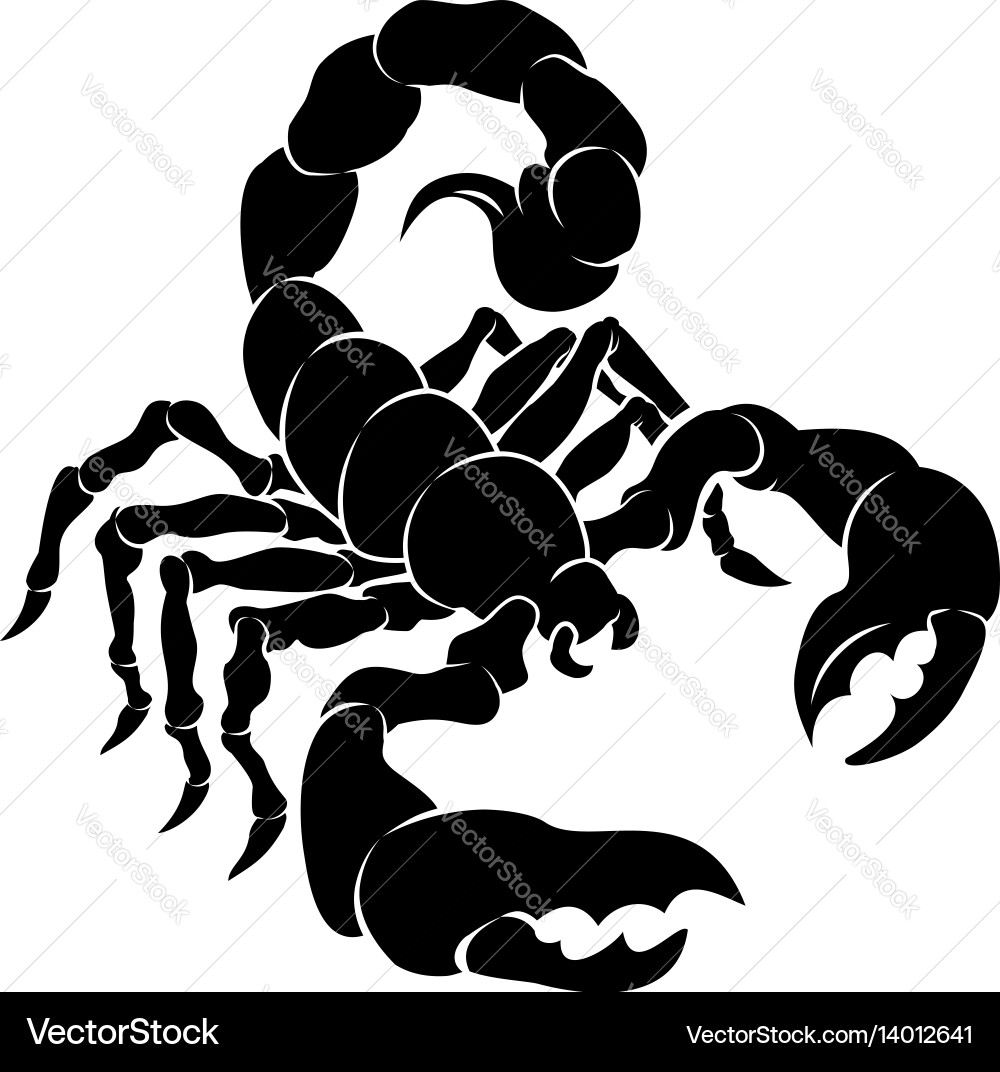 Scorpion Vector Images (over 8,200)