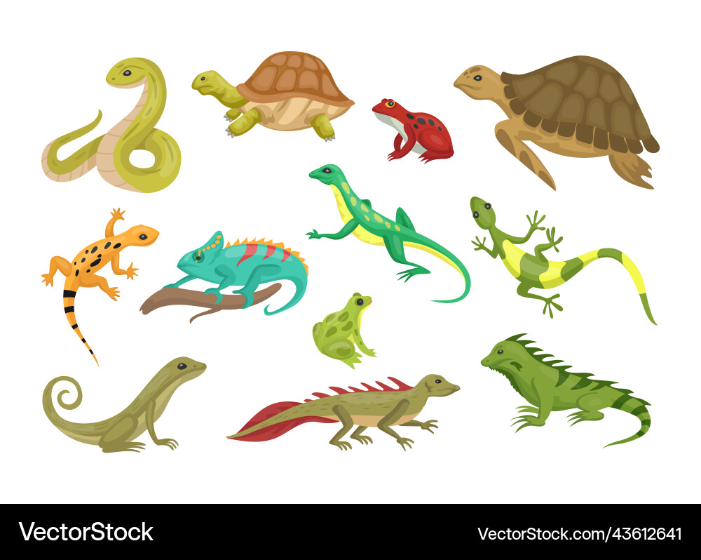 Wild reptiles turtle and lizard tropical Vector Image