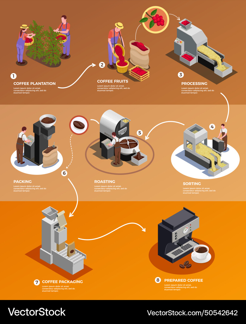 Coffee industry infographic poster Royalty Free Vector Image