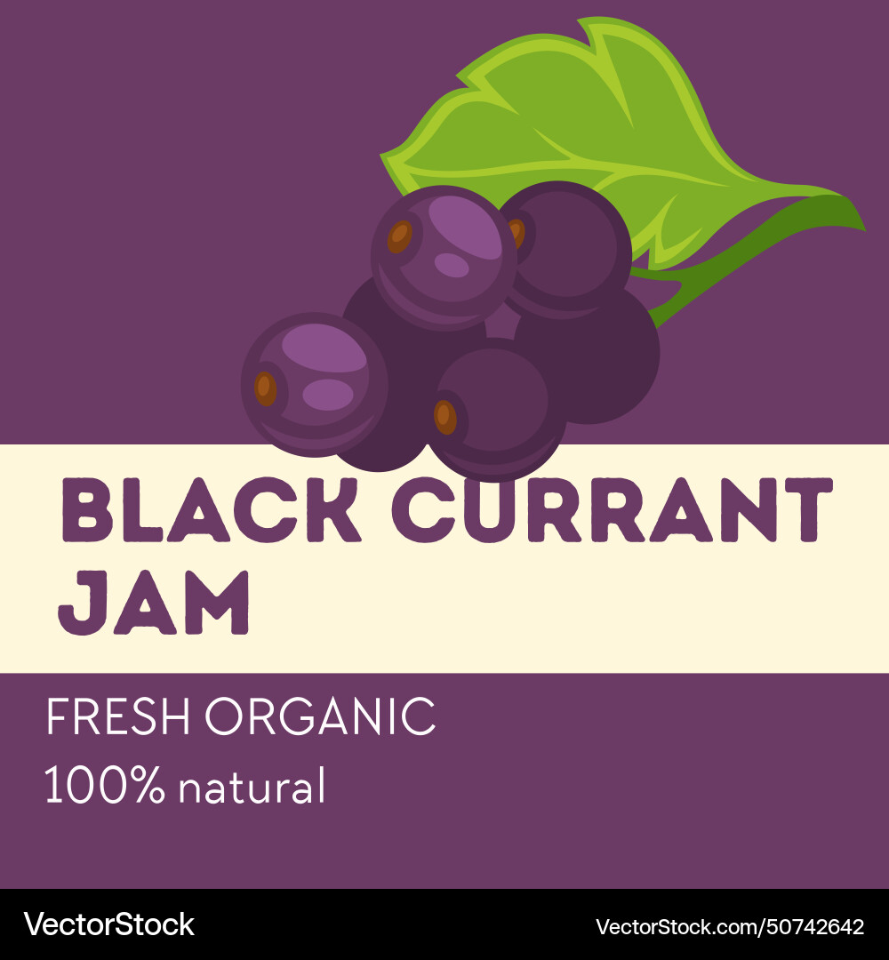 Organic and natural black currant jam package logo