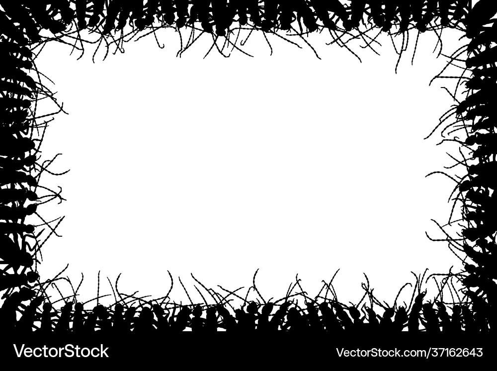 Earwig frame Royalty Free Vector Image - VectorStock