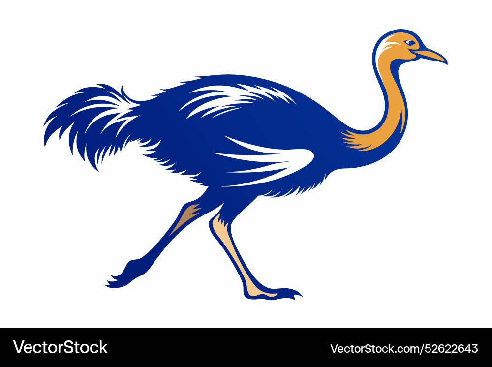 Ostrich run silhouette c Royalty Free Vector Image