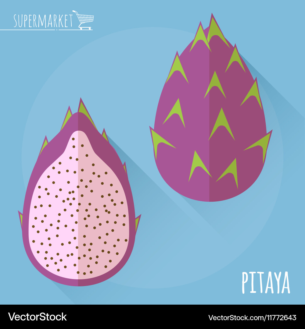 Pitaya icon Royalty Free Vector Image - VectorStock