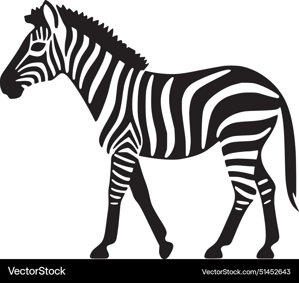 Zebra - high quality logo - ideal for t-shirt Vector Image