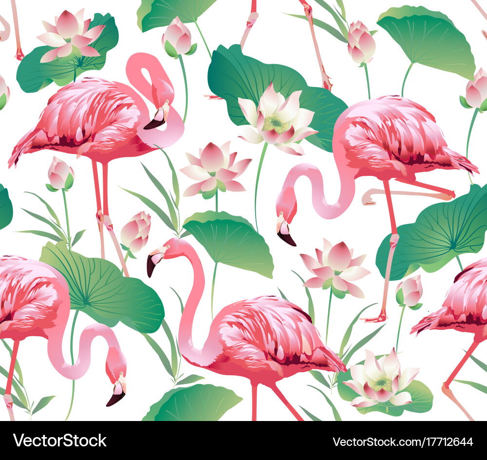 Flamingo bird and tropical flowers background Vector Image