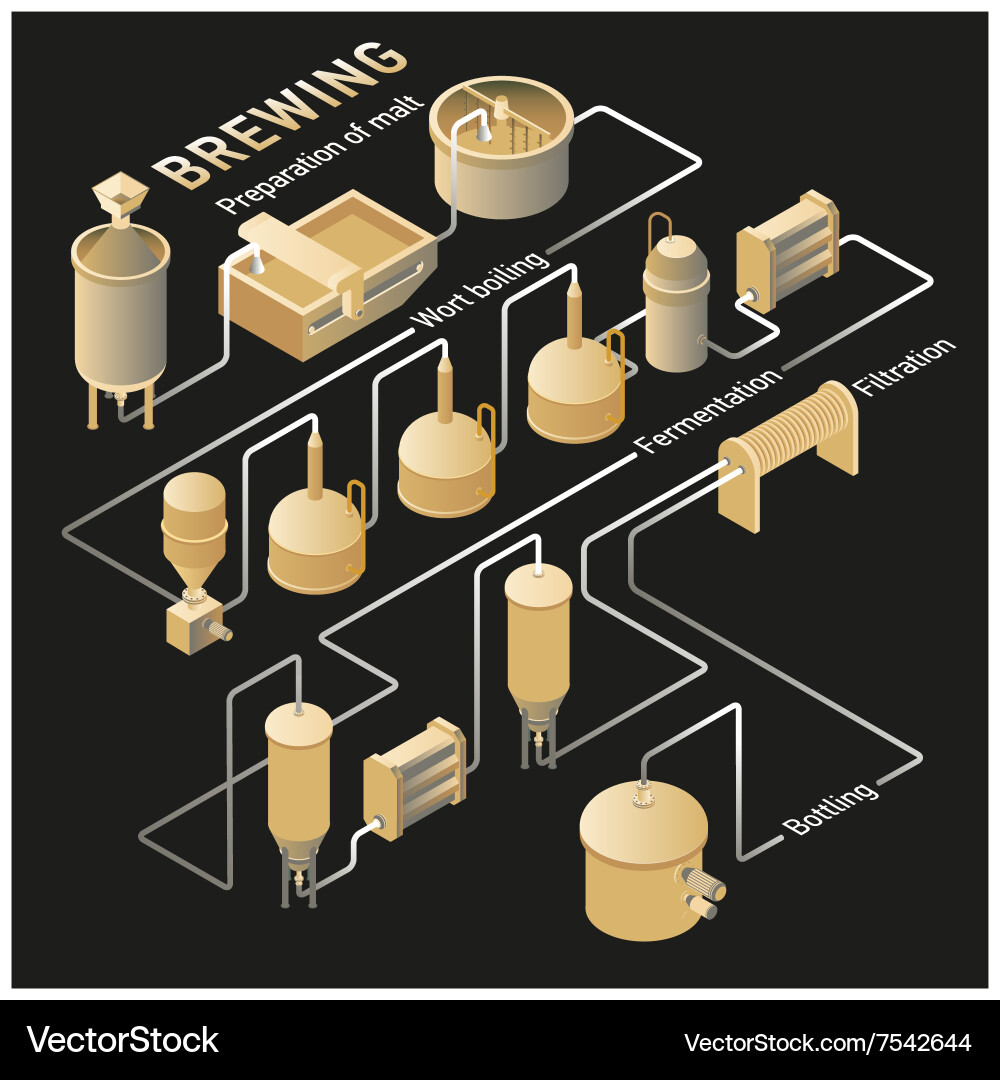 Isometric beer brewing process infographic Vector Image