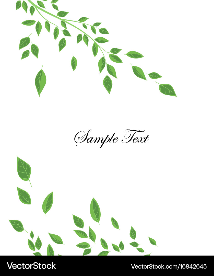 Branches and green leaves Royalty Free Vector Image