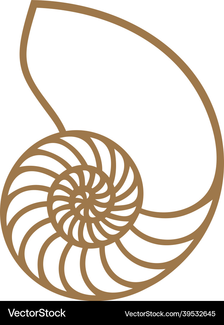 Nautilus Royalty Free Vector Image - VectorStock