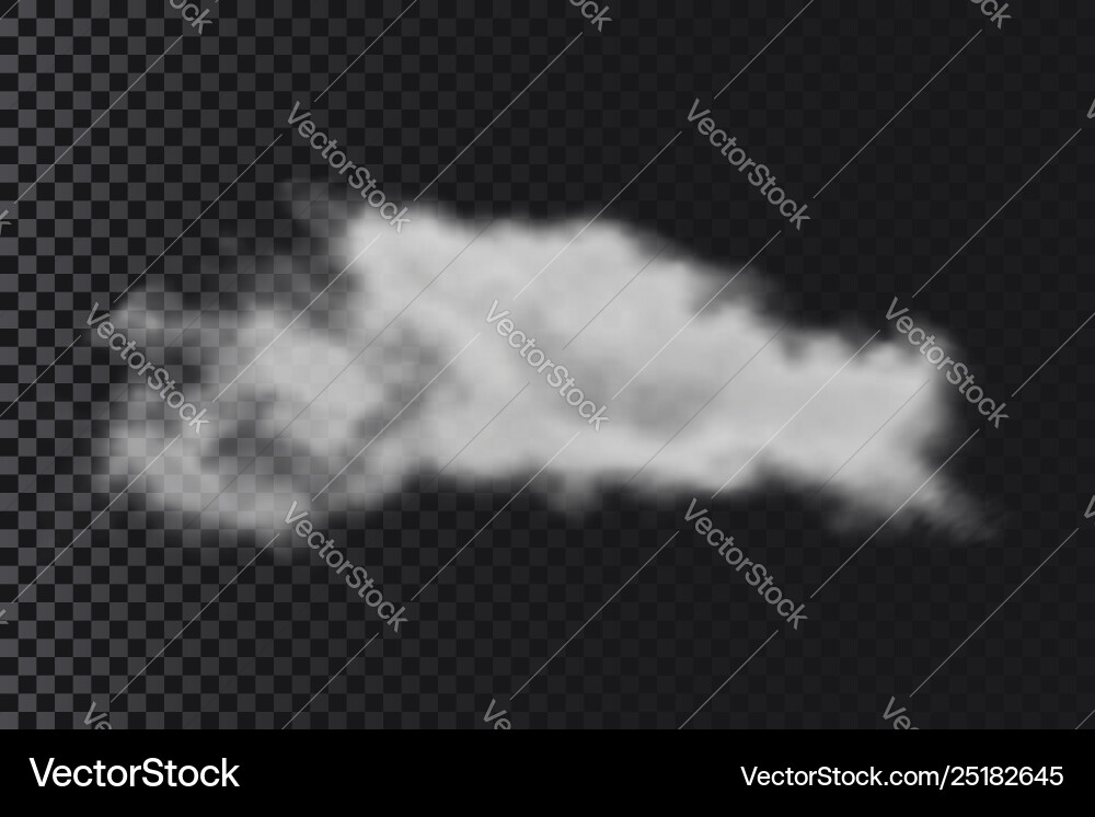 Realistic transparent cloud fog or smoke Vector Image